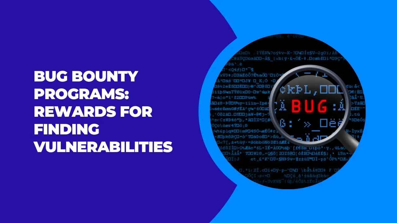 Bug Bounty Programs: Rewards for Finding Vulnerabilities