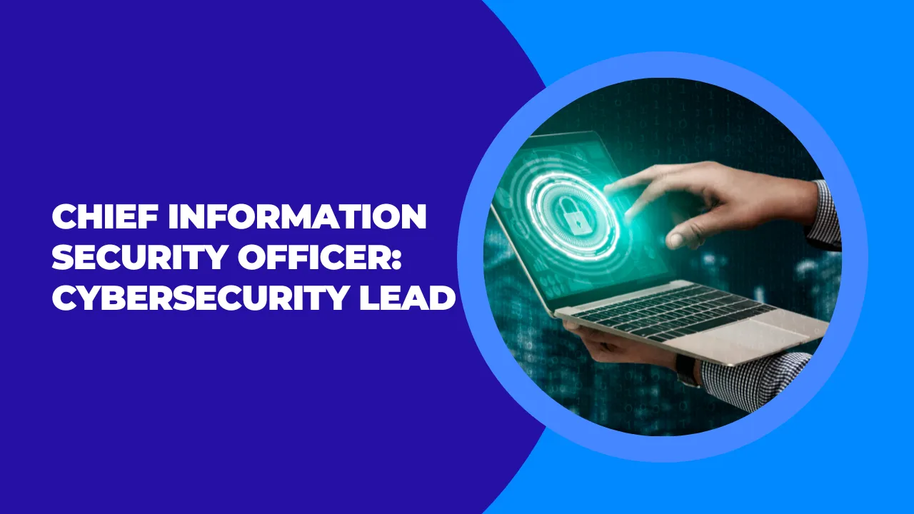 Chief Information Security Officer: Cybersecurity Lead
